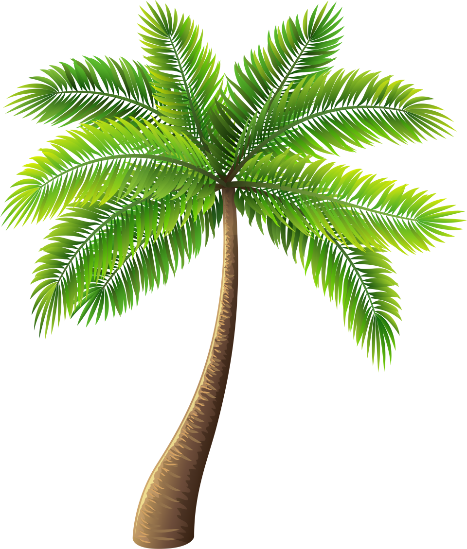 Palm Tree Png Clip Art Transparent Palm Tree Png - Photo #399 ...