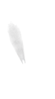 Light point - Photo #1096 - DirectPNG - Download Free and Premium Stock ...